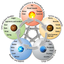 Acupuncture for Life